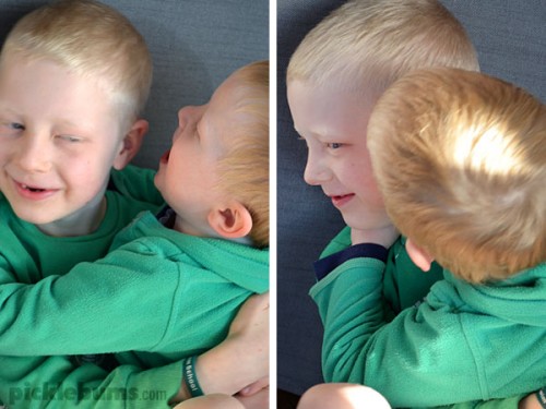 Dealing With Sibling Struggles - Picklebums